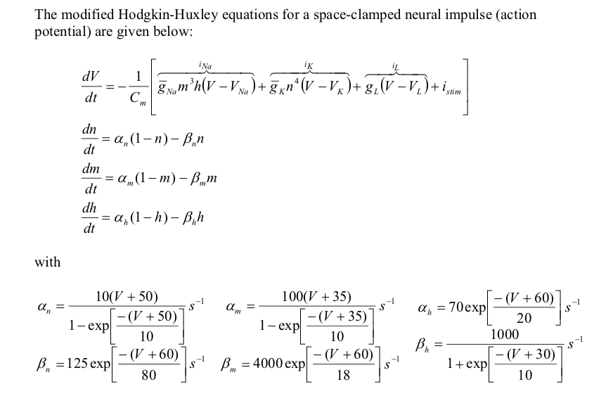 The modified Hodgkin-Huxley equations for a | Chegg.com