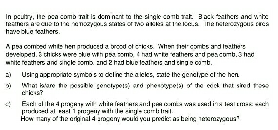 Solved In poultry, the pea comb trait is dominant to the | Chegg.com