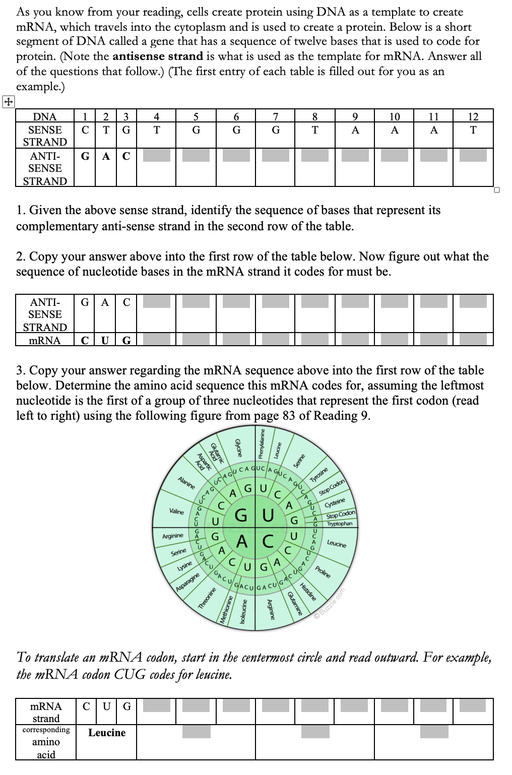 Solved As you know from your reading, cells create protein | Chegg.com