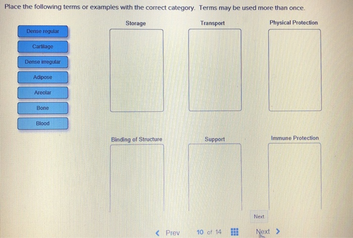 Solved Place the following terms or examples with the | Chegg.com