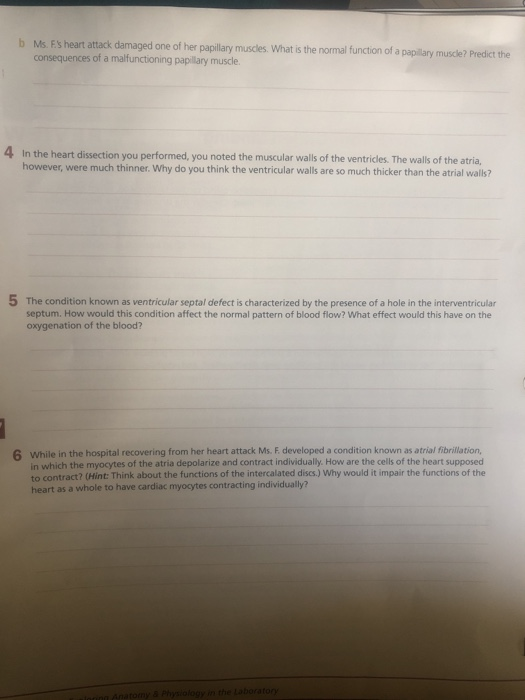 Solved Name Section UNIT Date Check Your Understanding | Chegg.com