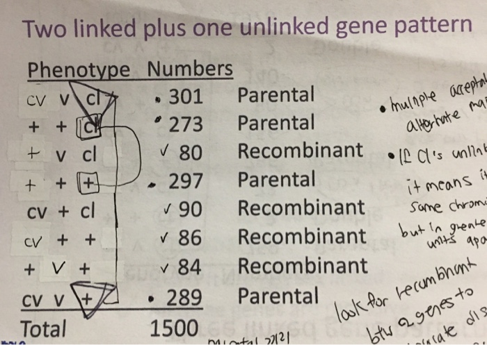 Solved How do you map the distance between the 2 linked | Chegg.com