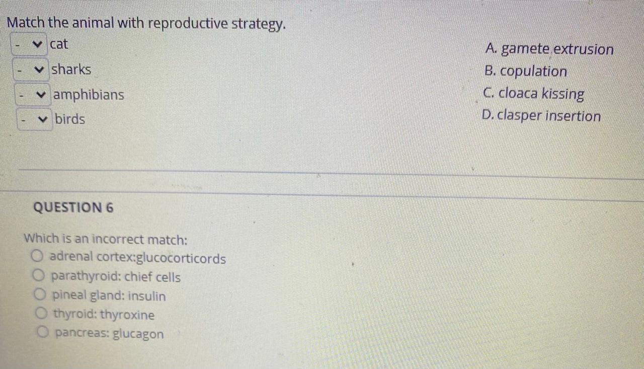 Solved Match the animal with reproductive strategy. V cat v | Chegg.com