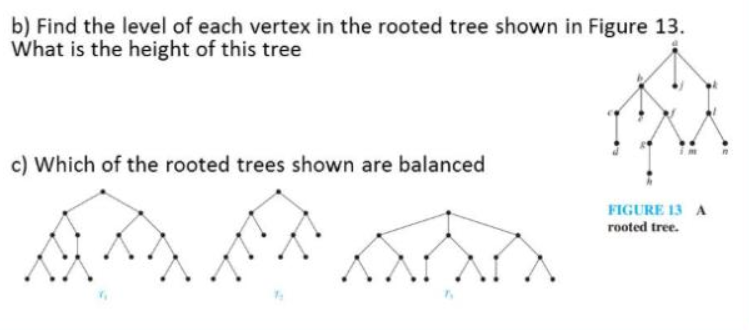 Solved b) Find the level of each vertex in the rooted tree | Chegg.com