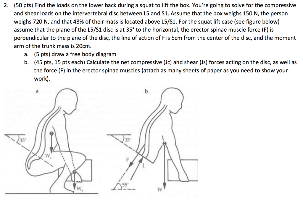 (50 pts) Find the loads on the lower back during a | Chegg.com