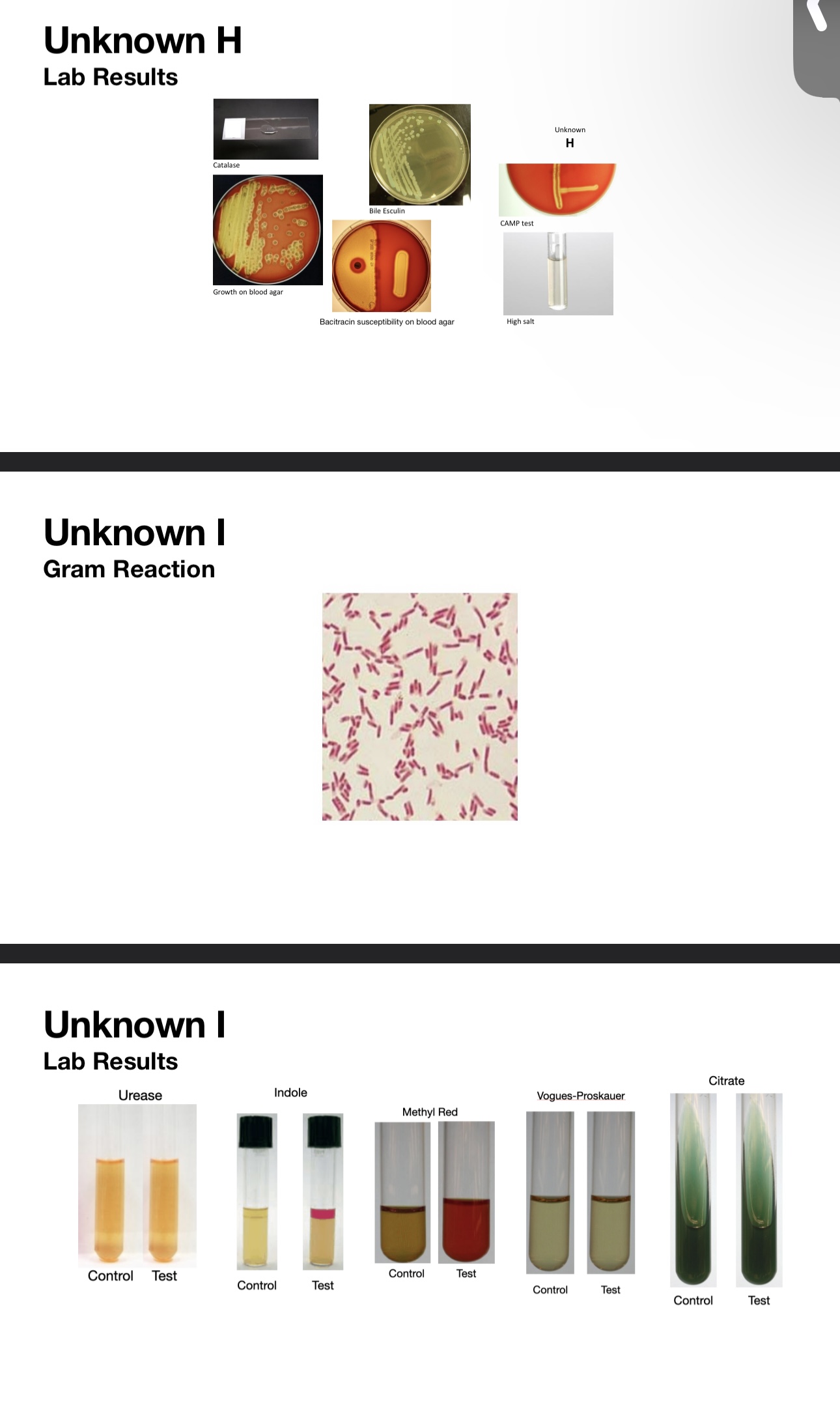 I need help identifying the potential genus and | Chegg.com