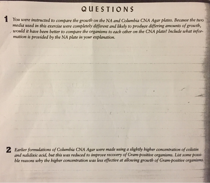 Solved QUESTIONS 1 You were instructed to compare the growth | Chegg.com