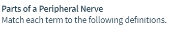 Solved Parts of a Peripheral Nerve Match each term to the | Chegg.com