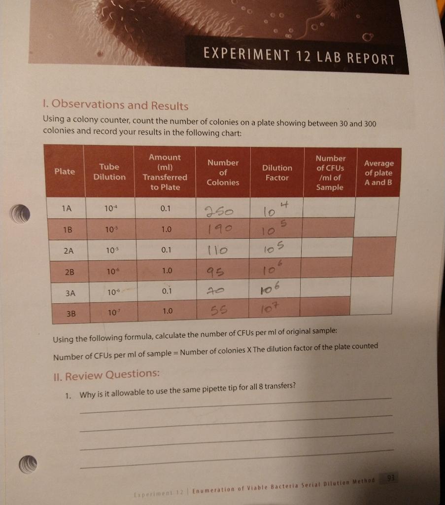 Solved EXPERIMENT 12 LAB REPORT 1. Observations and Results | Chegg.com
