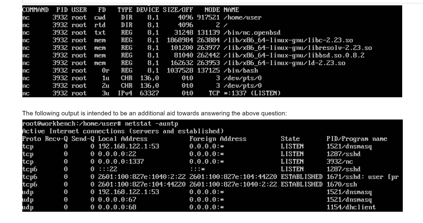 Solved This command shows the File Descriptor(FD) in this | Chegg.com