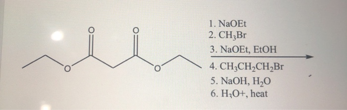 Solved 1. NaOEt 2. CH,Br 3. NaOEt, EtOH 4. CH2CH2CH2Br 5. | Chegg.com