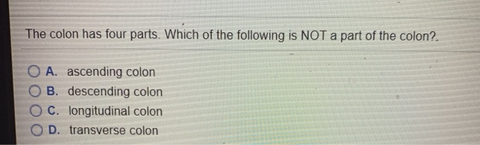 Solved The colon has four parts. Which of the following is | Chegg.com