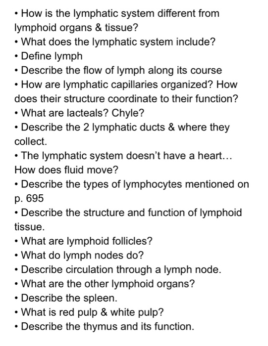 Organs Of The Lymphatic System And Their Functions