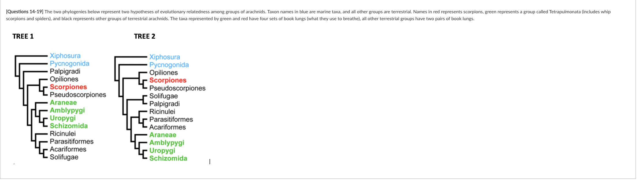 Solved TREE 1 TREE 2 Both phylogenetic trees show | Chegg.com