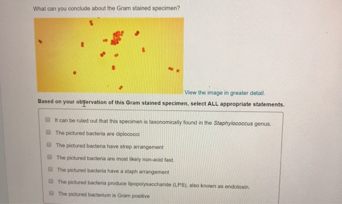 Solved What can you conclude about the Gram stained | Chegg.com