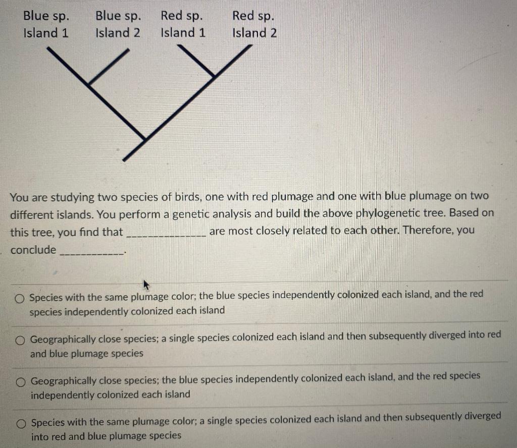 Solved Red sp. Red sp. Blue sp. Island 1 Blue sp. Island 2 | Chegg.com