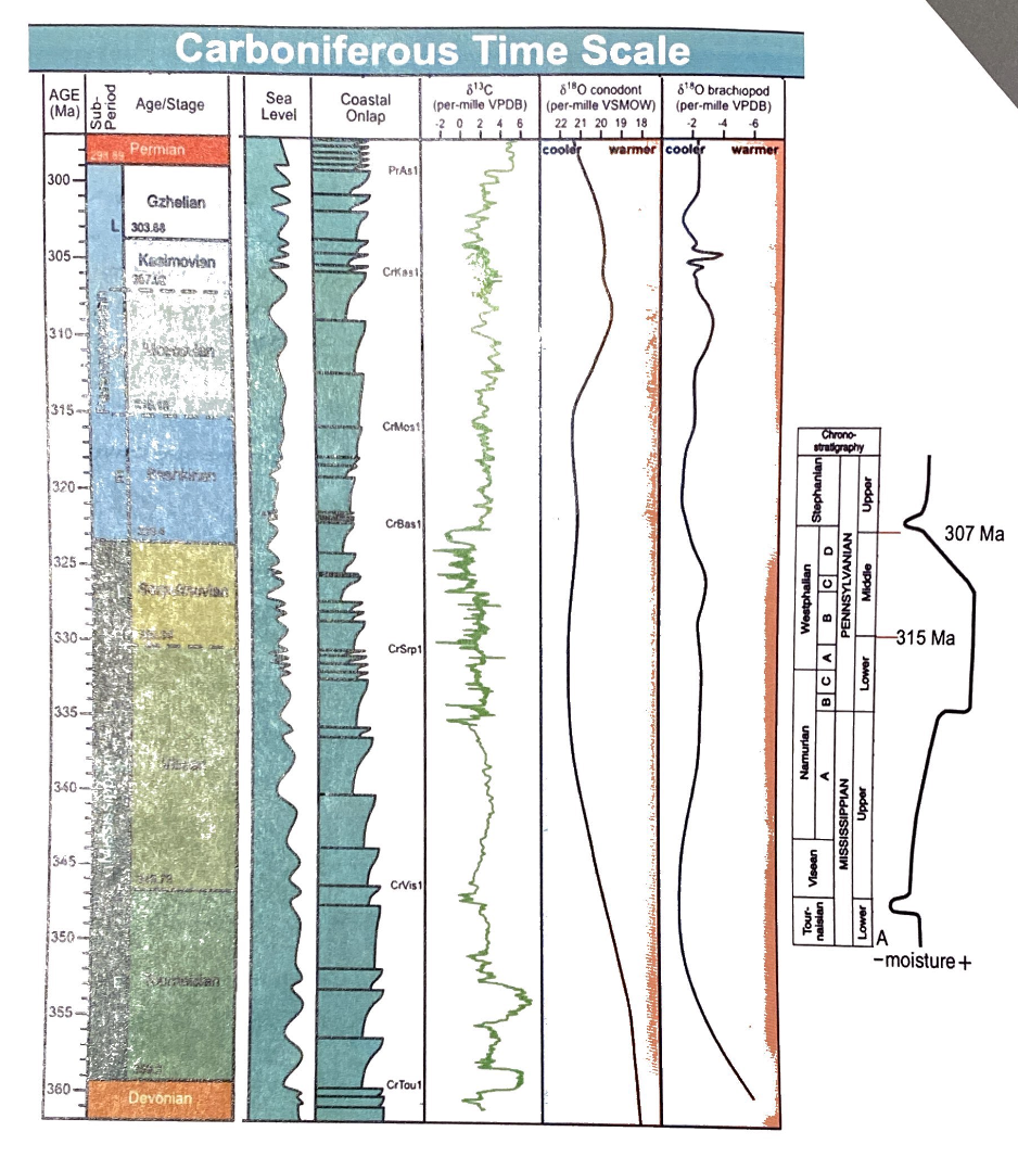 The following specimens are from the Carboniferous | Chegg.com
