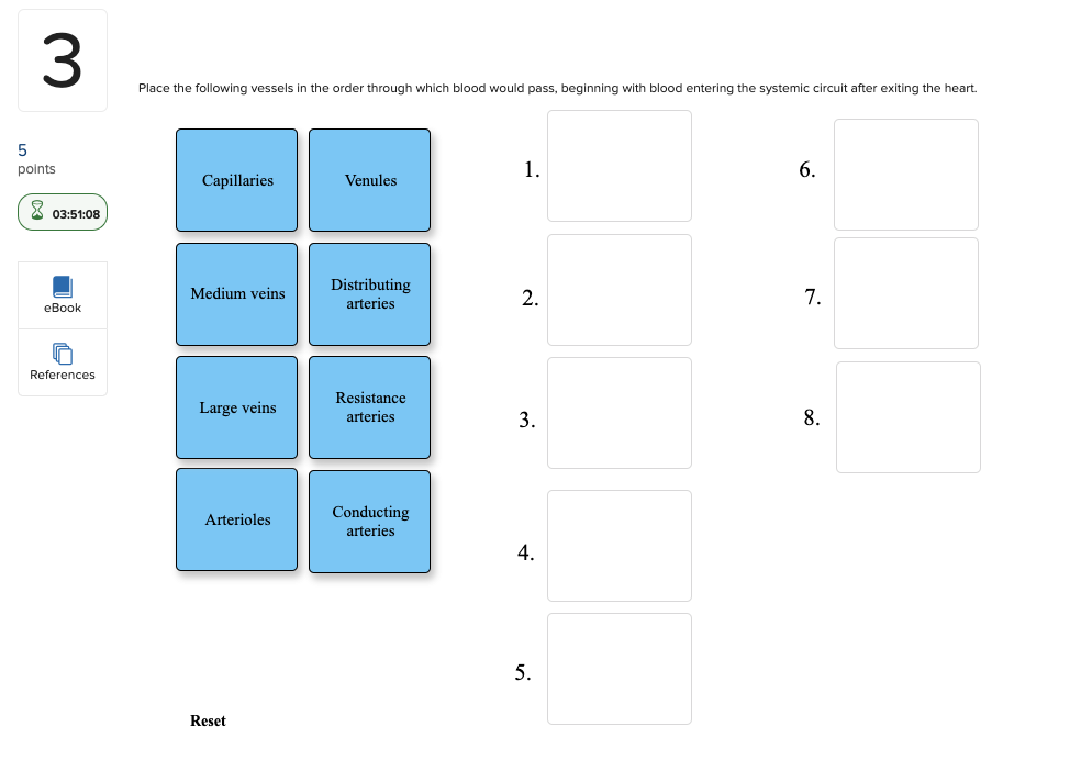 Solved Place the following vessels in the order through | Chegg.com