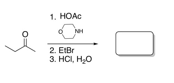Solved 1. HOAc O NH 2. EtBr 3. HCl, H20 | Chegg.com