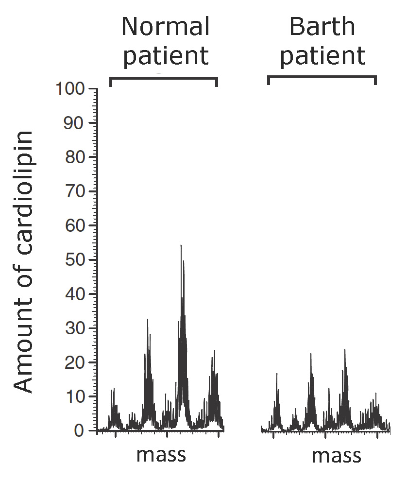 Solved Barth syndrome is a mitochondrial disorder caused by | Chegg.com