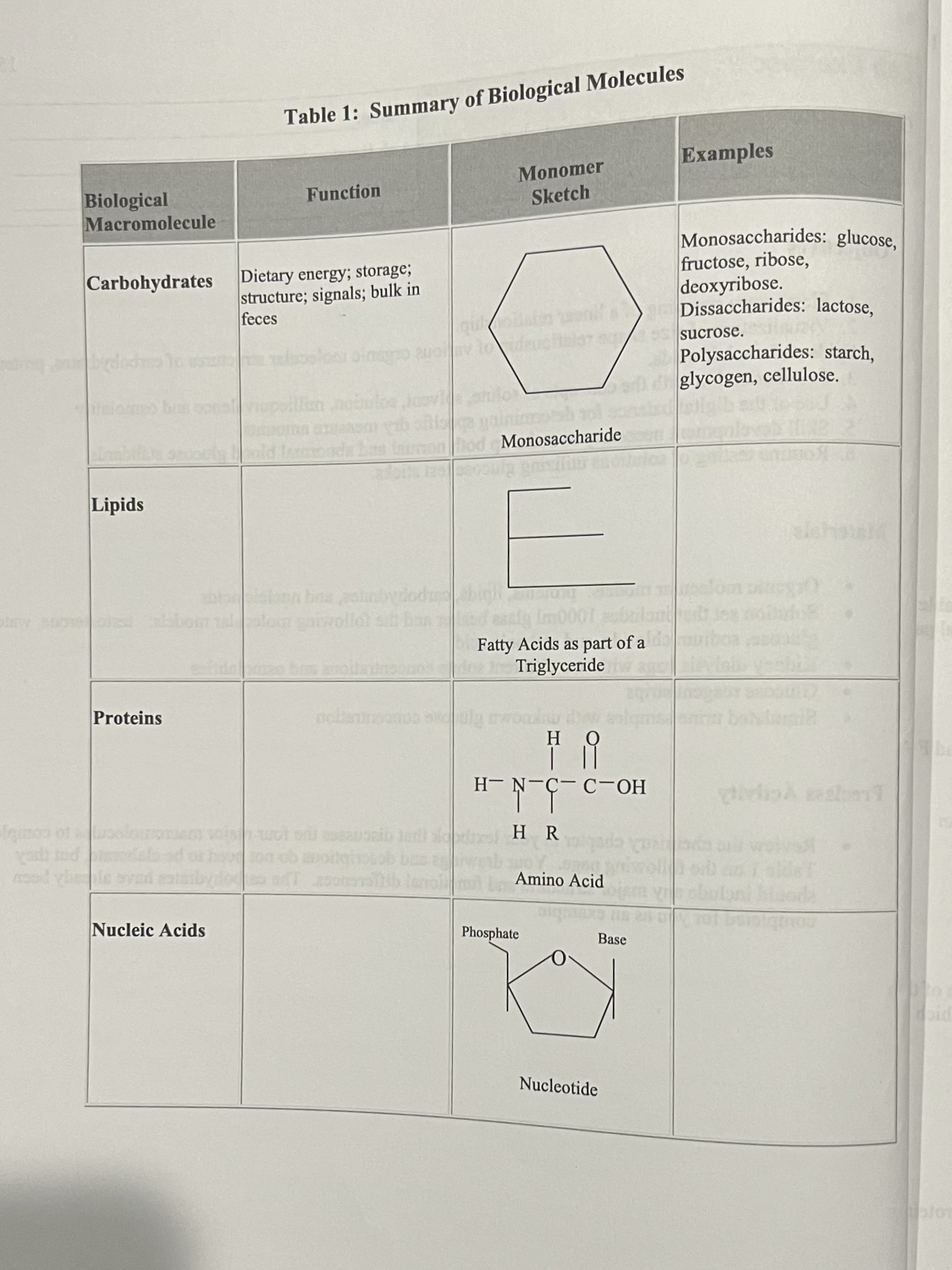 Solved Table 1: Summary of Biological Molecules | Chegg.com