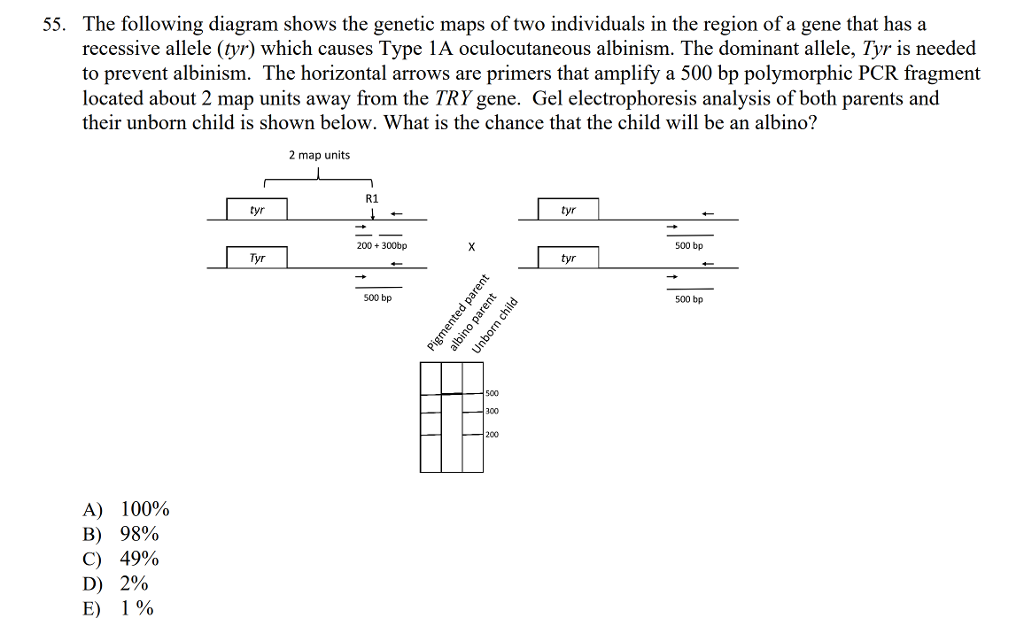 Solved The following diagram shows the genetic maps of two | Chegg.com
