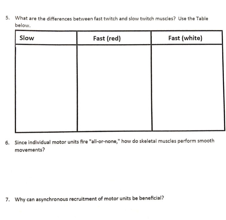 Solved 5. What are the differences between fast twitch and | Chegg.com