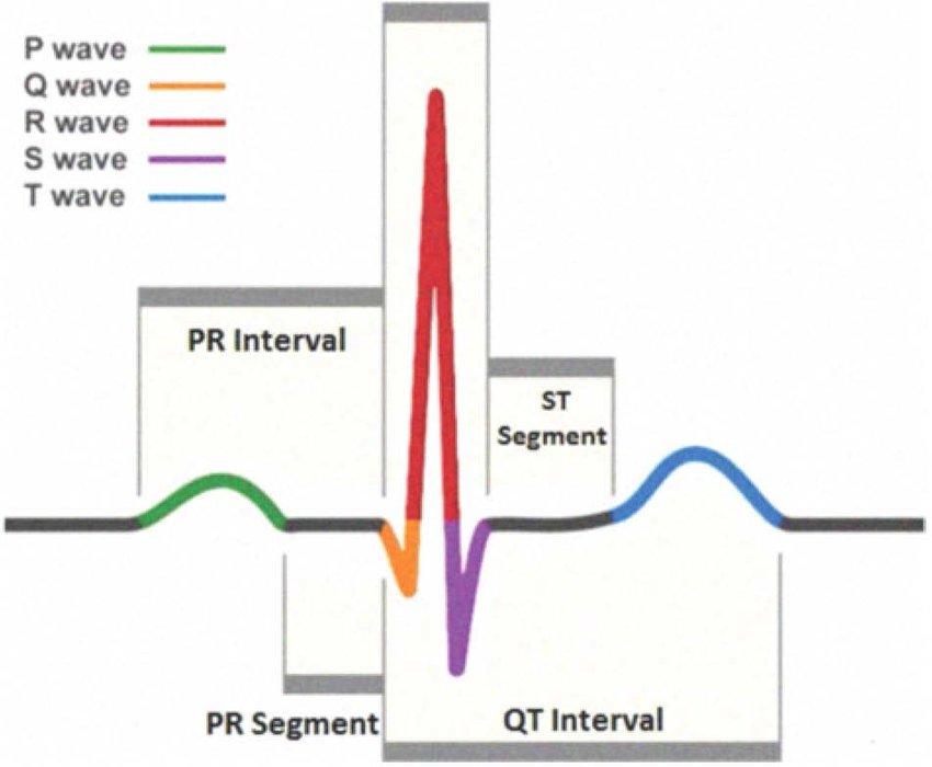 Solved You are given a file "ECG.csv" which contains five | Chegg.com