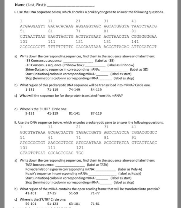 Solved Name (Last, First) I. Use the DNA sequence below, | Chegg.com