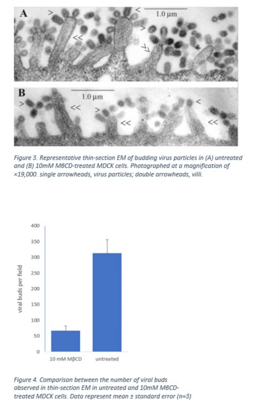 Solved Methyl-3-cyclodextrin (MBCD) mediated cholesterol | Chegg.com