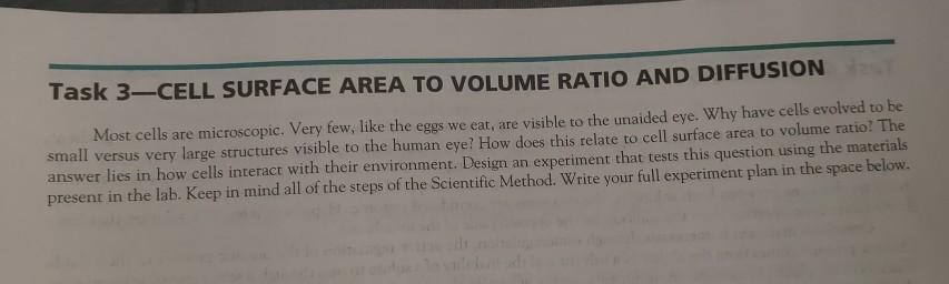Solved Task 3-CELL SURFACE AREA TO VOLUME RATIO AND | Chegg.com