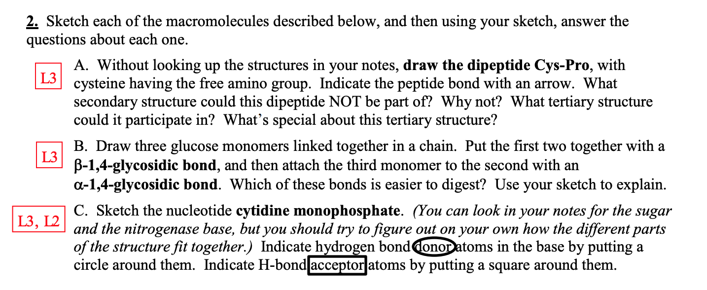 Solved 2. Sketch each of the macromolecules described below, | Chegg.com