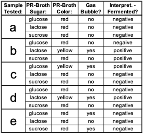 Shown below are sample sets of fermentation test | Chegg.com