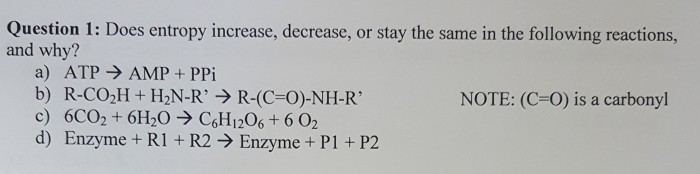 Solved Question 1: Does entropy increase, decrease, or stay | Chegg.com