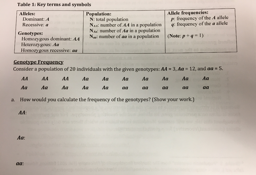 Solved Table 1: Key terms and symbols Alleles: Dominant: A | Chegg.com