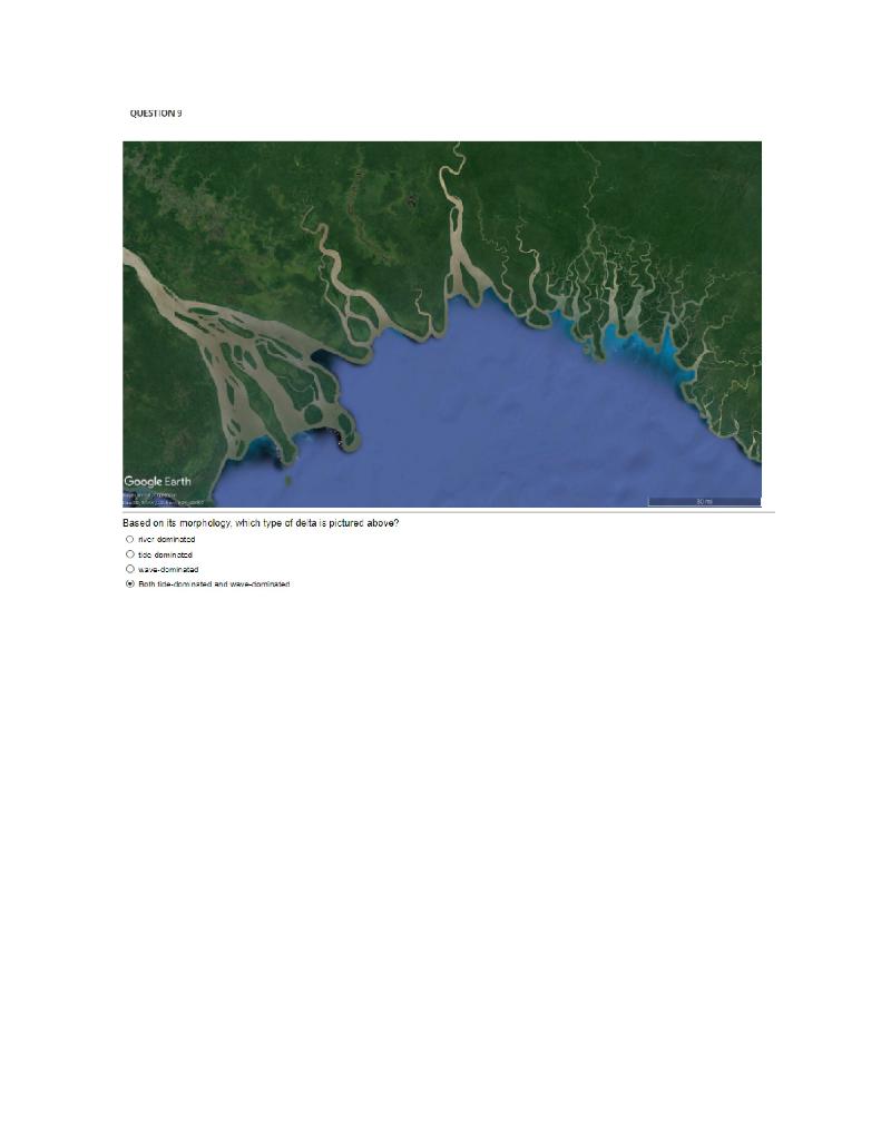 Solved Based on its morph clogy, which type of de ta is | Chegg.com