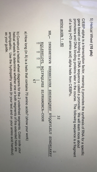 Solved 5) Helical Wheel (10 pts) C/EBP-alpha is a | Chegg.com