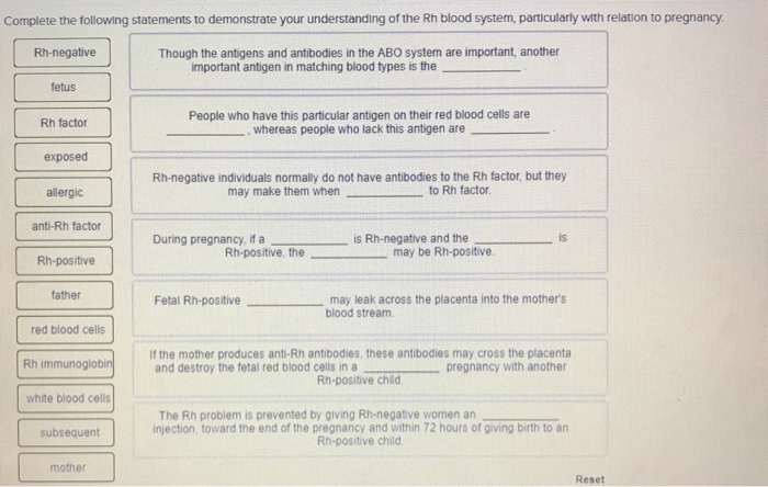 Solved Complete the following statements to demonstrate your | Chegg.com