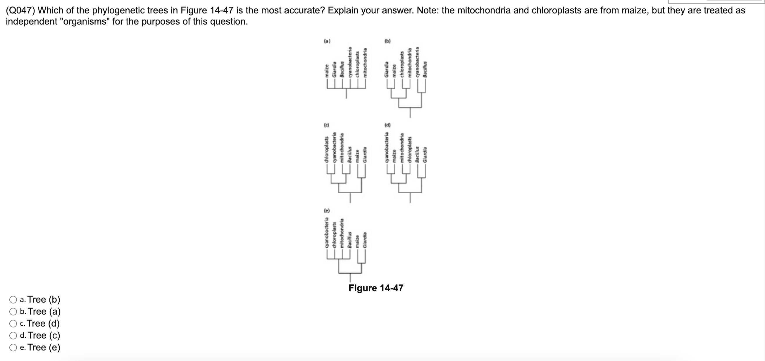 Solved Figure 14-47 a. Tree (b) b. Tree (a) c. Tree (d) d. | Chegg.com