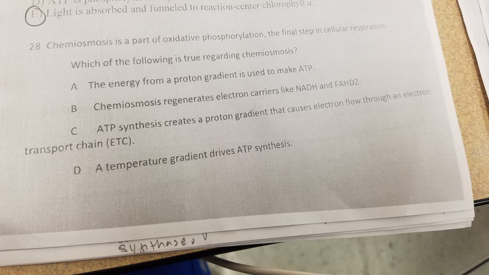 Solved 1.5 POUP Light is absorbed and funneled to | Chegg.com