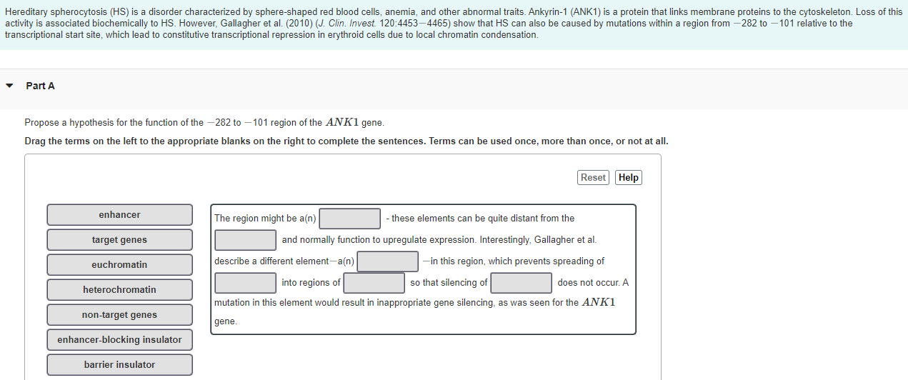 Solved Hereditary spherocytosis (HS) is a disorder | Chegg.com
