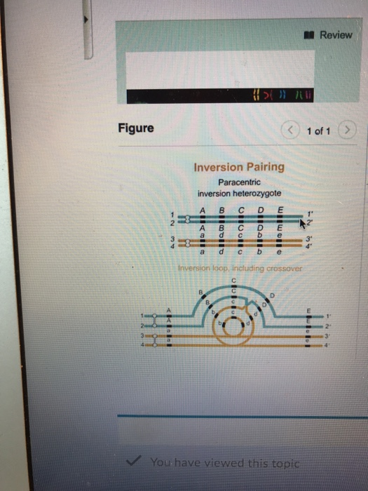 Solved Review Figure