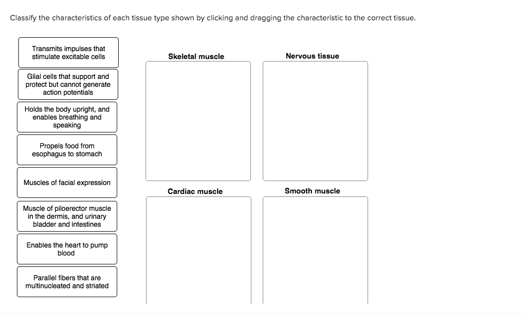 Solved Classify the characteristics of each tissue type | Chegg.com