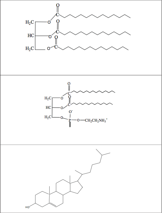 Solved For each structure: 1. Give the name according to the | Chegg.com