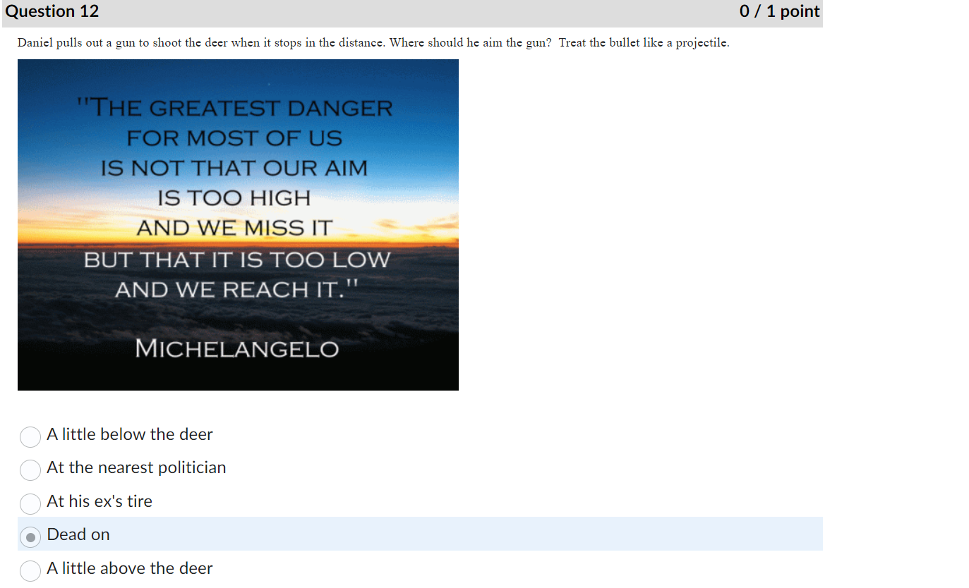 Solved "THE GREATEST DANGER FOR MOST OF US IS NOT THAT OUR | Chegg.com