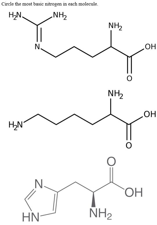Solved Circle the most basic nitrogen in each molecule. HN. | Chegg.com
