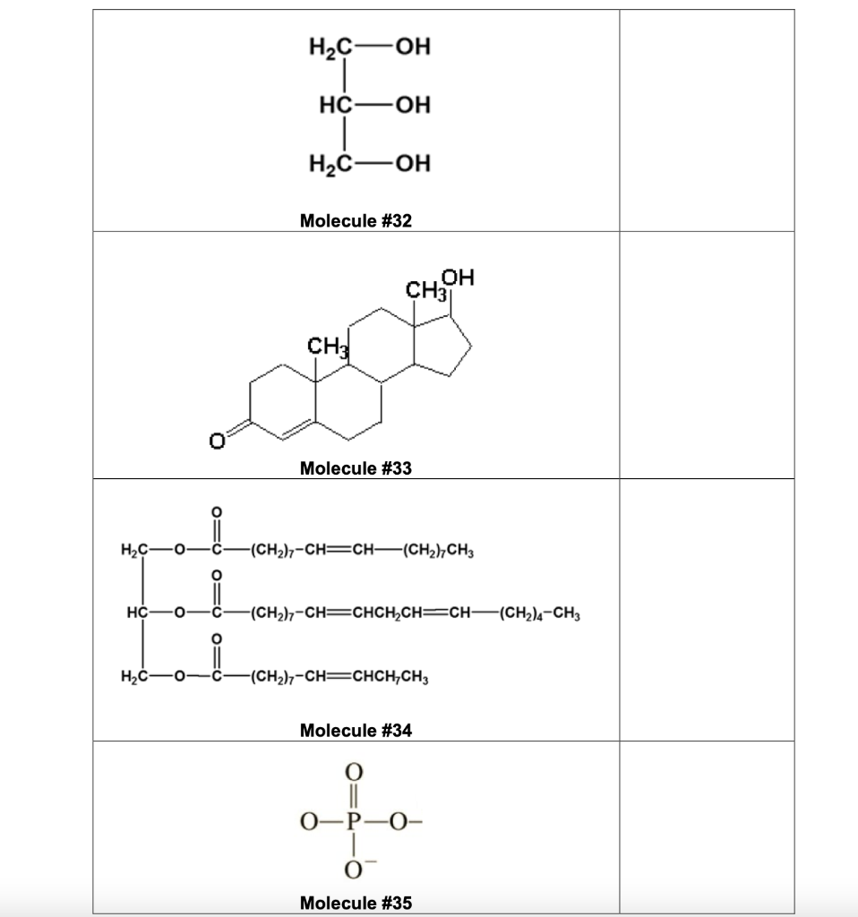 Solved BIOCHEMICAL MOLECULES - STRUCTURE AND FUNCTION ENTER | Chegg.com