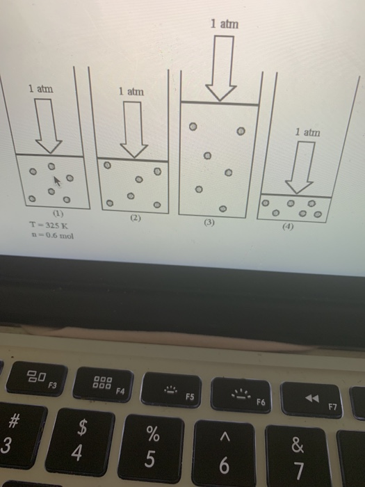 Solved Assume that you have a sample of gas in a cylinder | Chegg.com