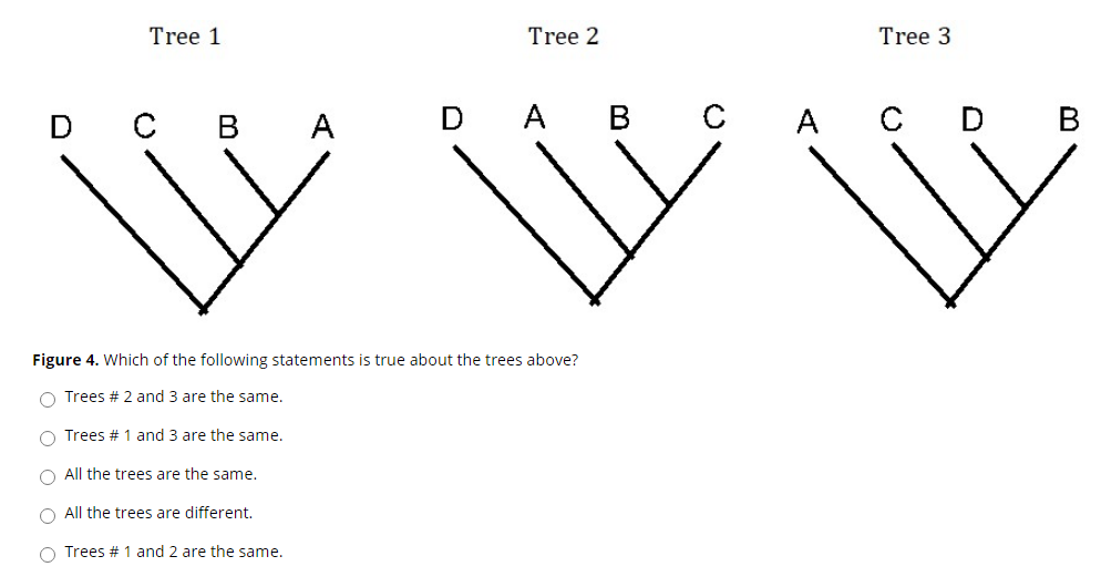 Solved Tree 1 Tree 2 Tree 3 D с B A D A B с Ас DB Figure 4. | Chegg.com
