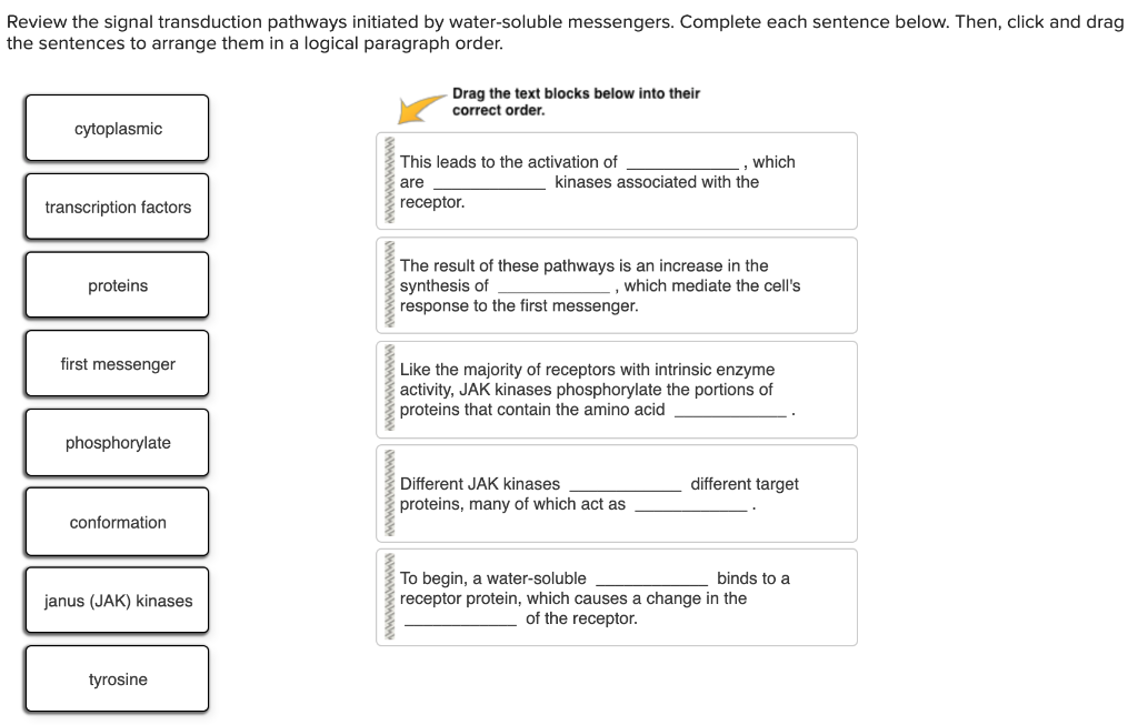 Solved Review the signal transduction pathways initiated by | Chegg.com